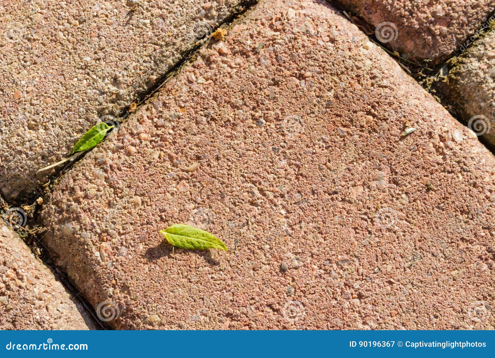 Cross Section of Walkway Pavers Stock Image - Image of bricks ...