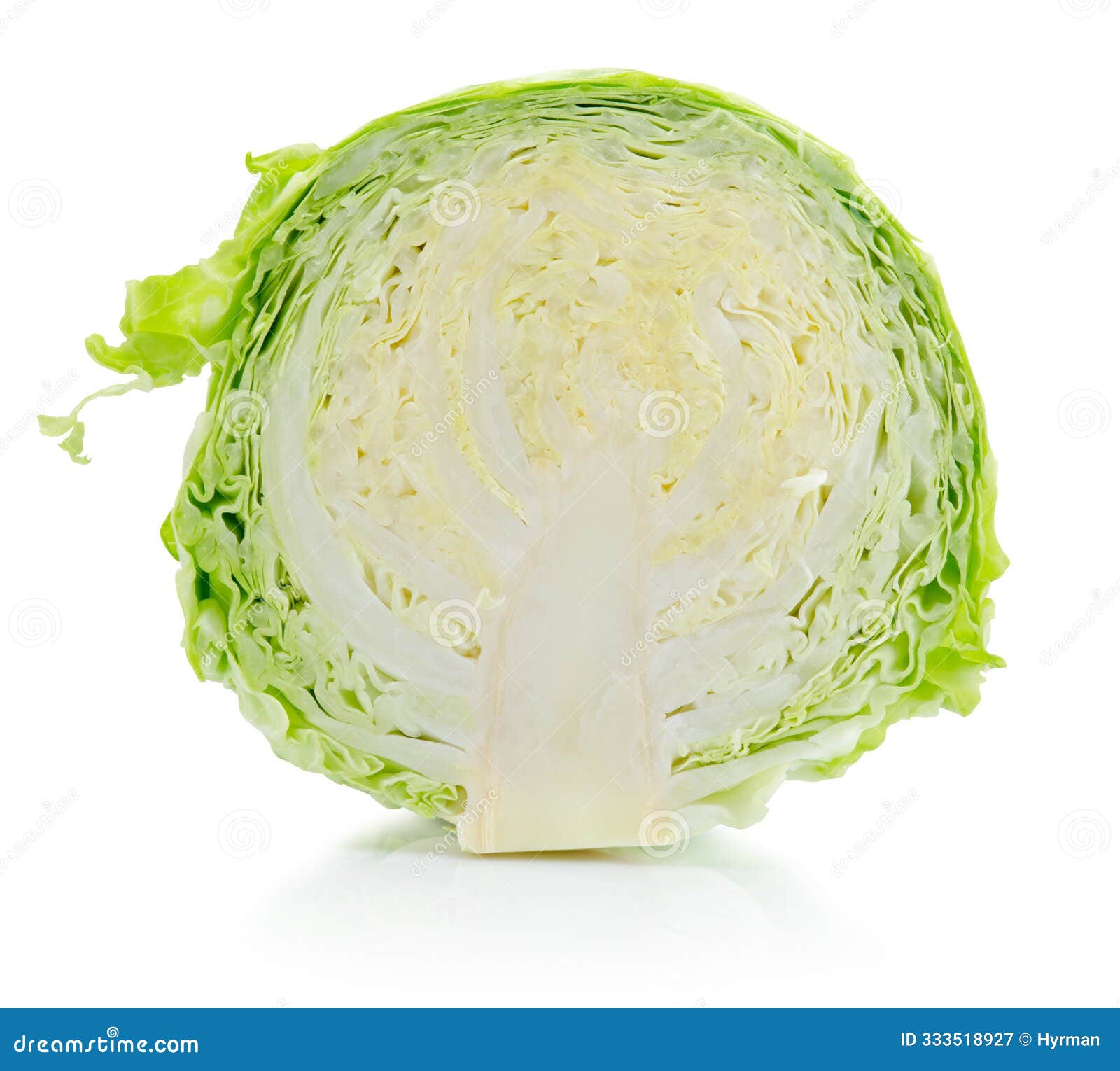 Cross Section of White Cabbage Isolated on White Background Stock Image - Image of cooking ...