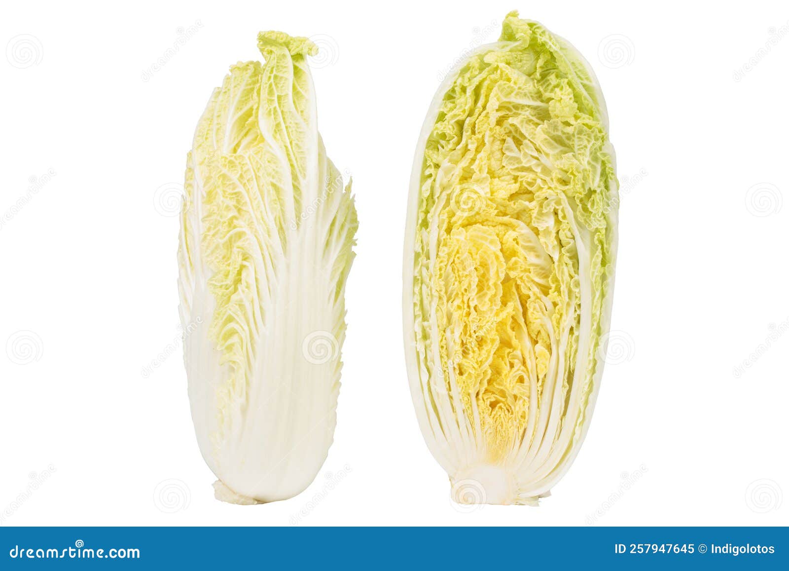 Cross Section and Whole Napa Cabbage Stock Image - Image of cabbage ...