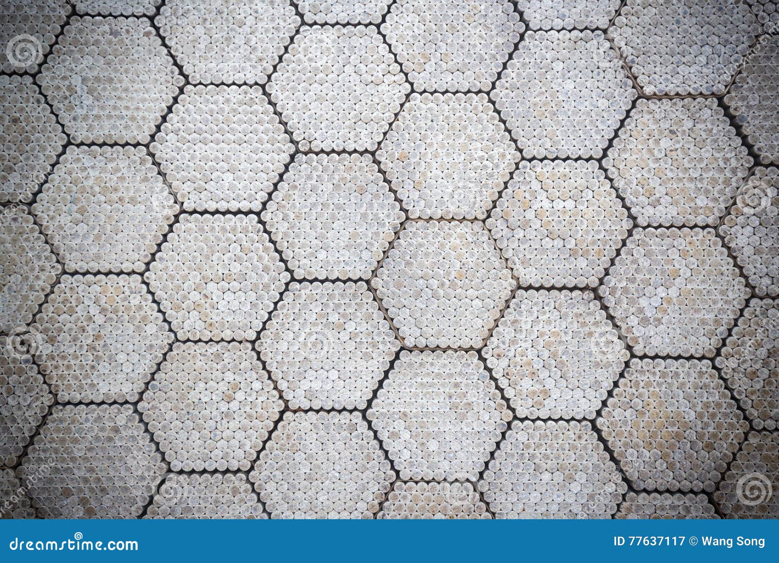 Cross-section of the Wire Rope Stock Image - Image of plastic, vertical ...