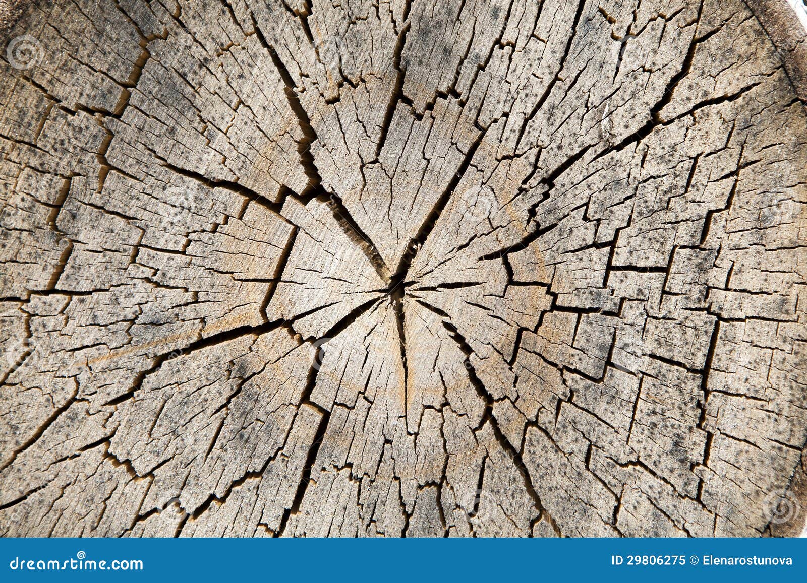 A Section Of Wood With A Natural Texture In The Form Of A Wavy Pattern ...