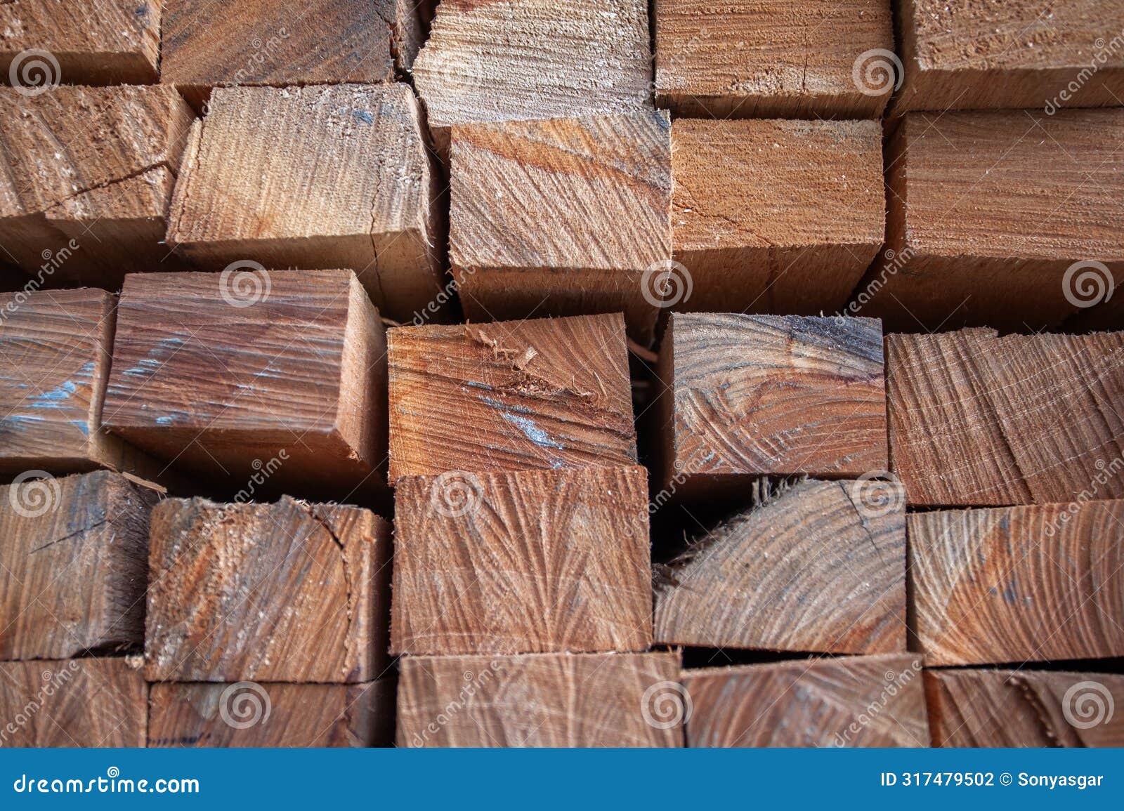 Cross-section of Wood Material that Has Been Cut and Ready To Use ...