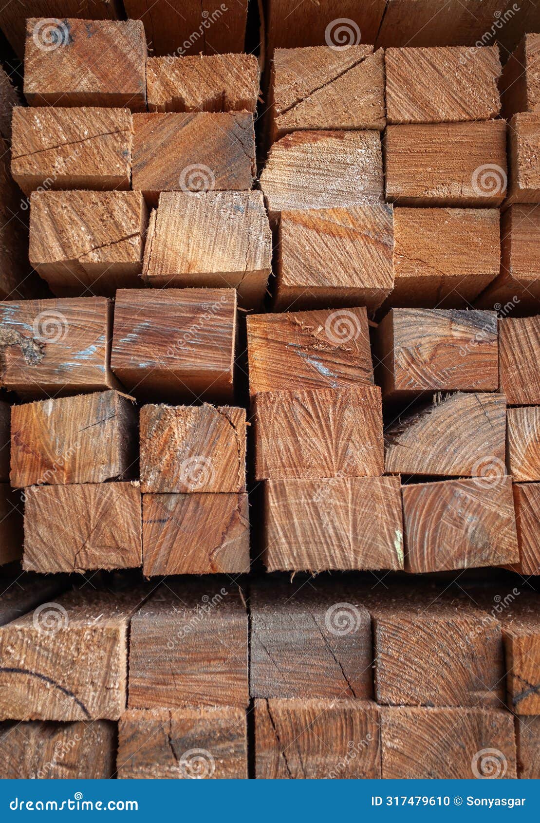 Cross-section of Wood Material that Has Been Cut and Ready To Use ...