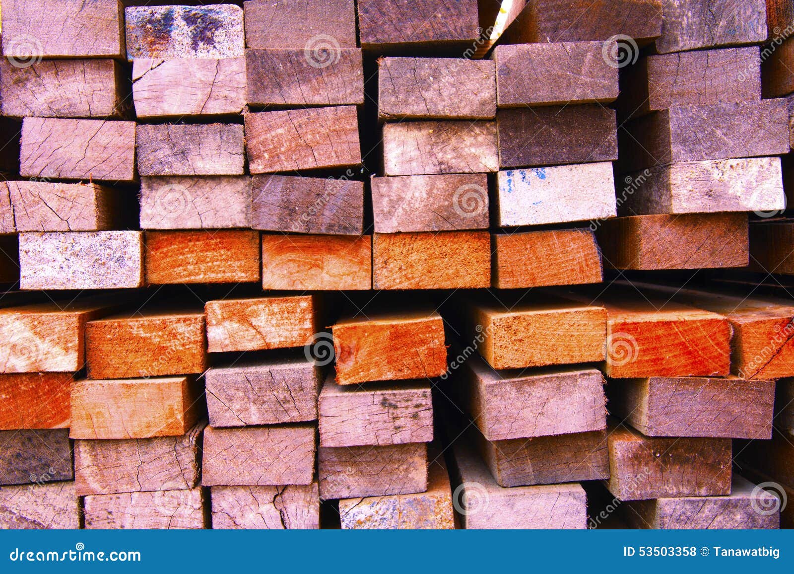 Cross section of wood pile stock photo. Image of damaged - 53503358