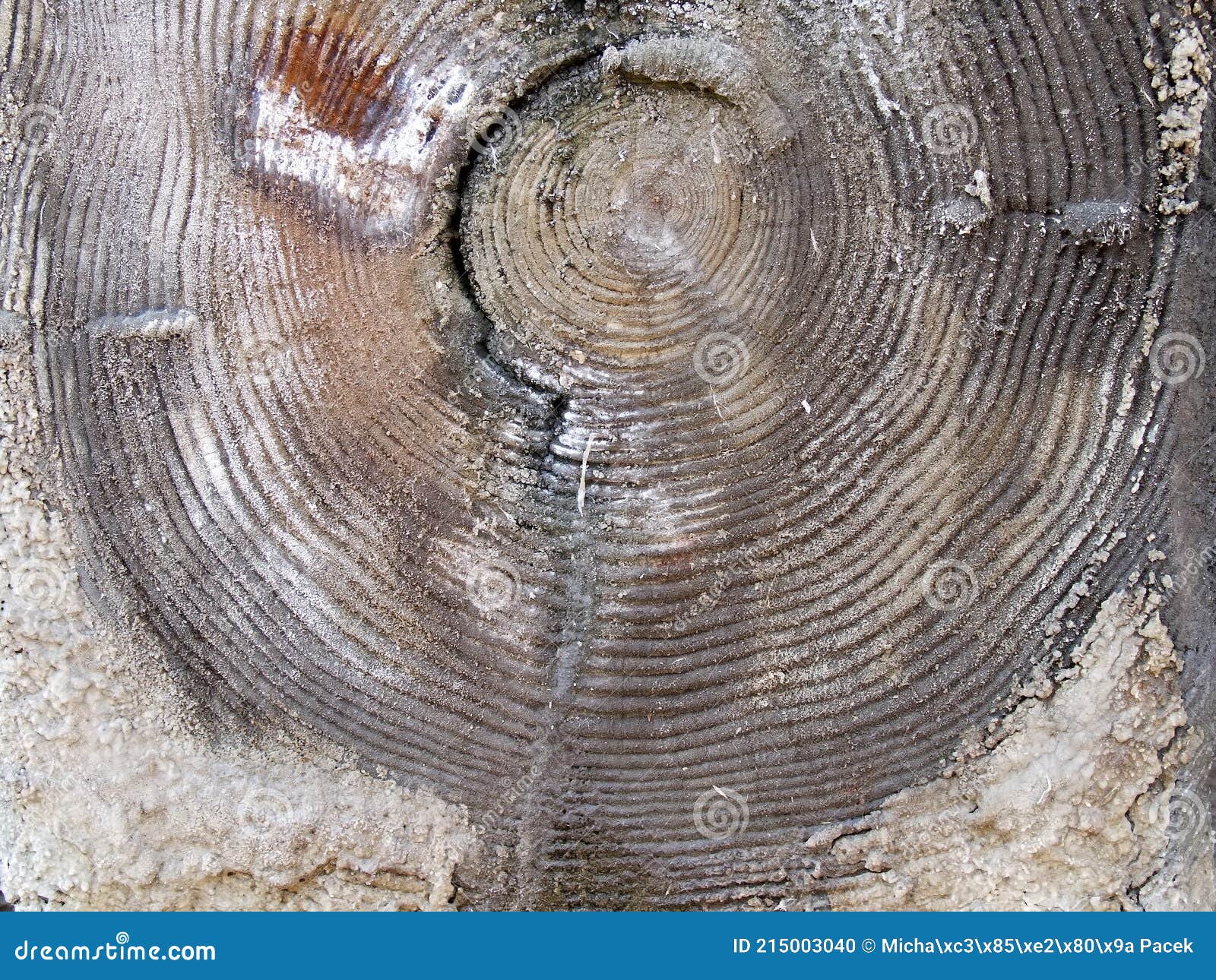 Salt Efflorescence Poland Ciechocinek Stock Photo - Image of ...