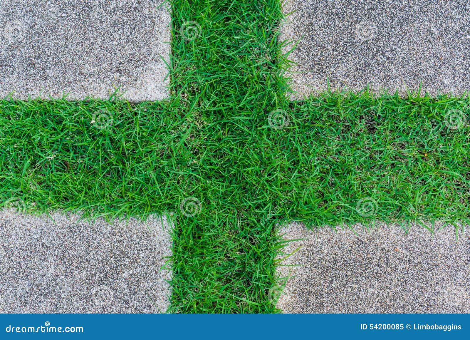 Cross shape green grass stock image. Image of grass, nature - 54200085