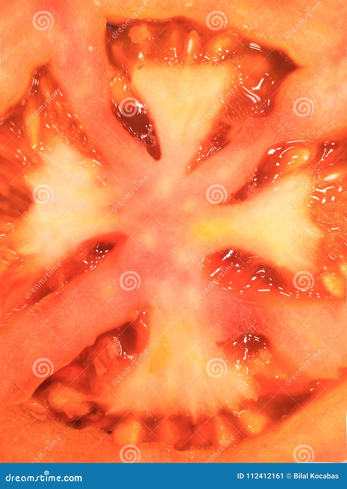 Cross Shape Section of a Vivid Sliced Tomato Stock Image - Image of ...