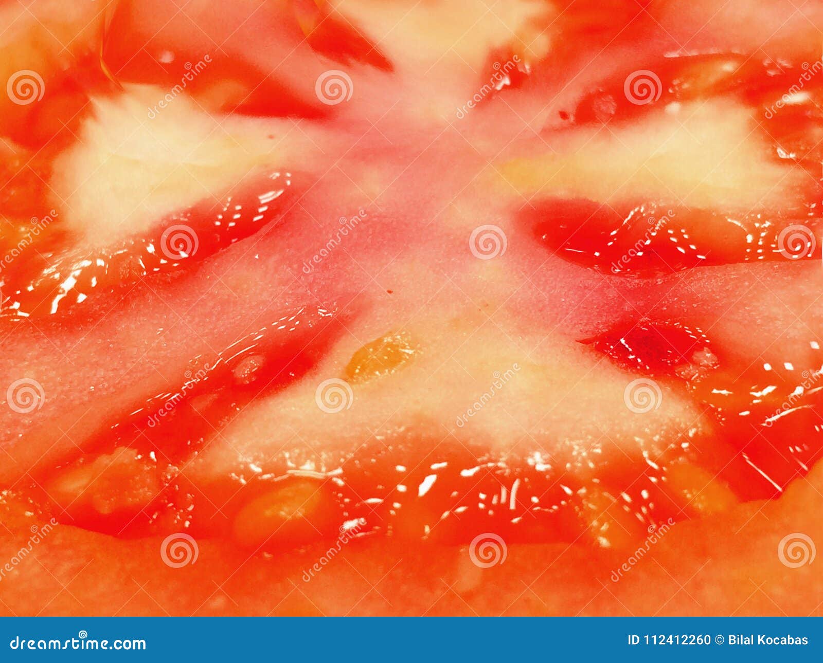 Cross Shape Section of a Vivid Sliced Tomato Stock Photo - Image of ...
