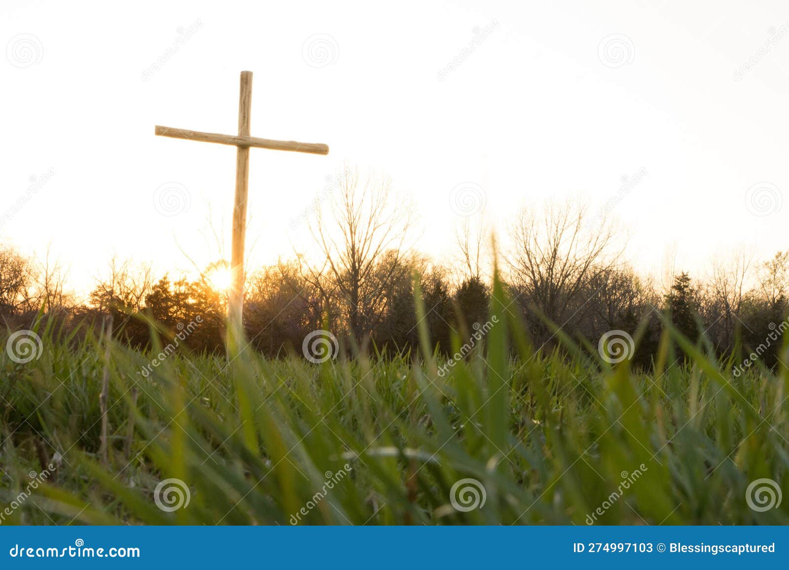 A cross in spring field stock image. Image of fresh - 274997103