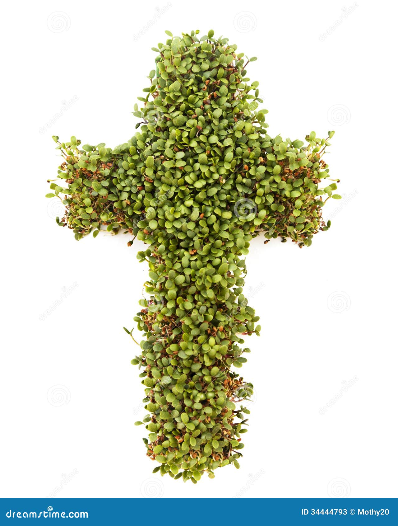 Cross of Sprouts stock image. Image of christianity, christ - 34444793
