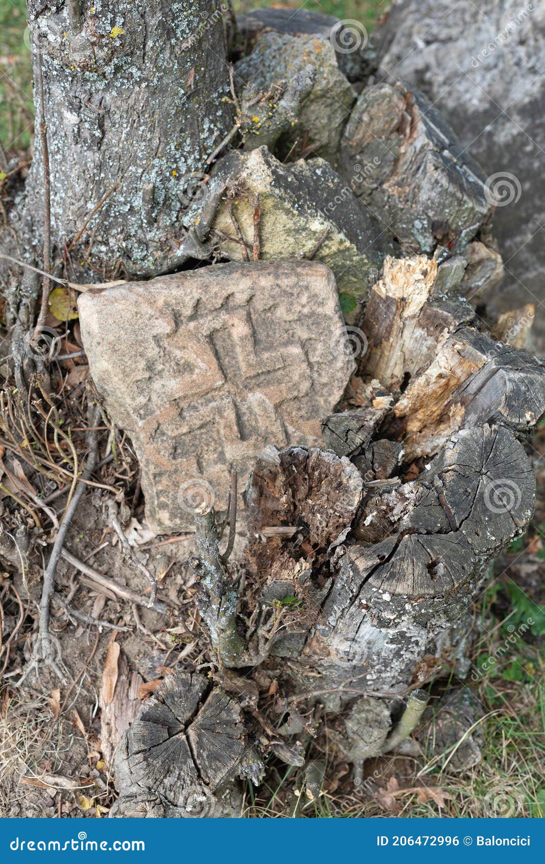Cross in Stump stock photo. Image of christianity, religion - 206472996