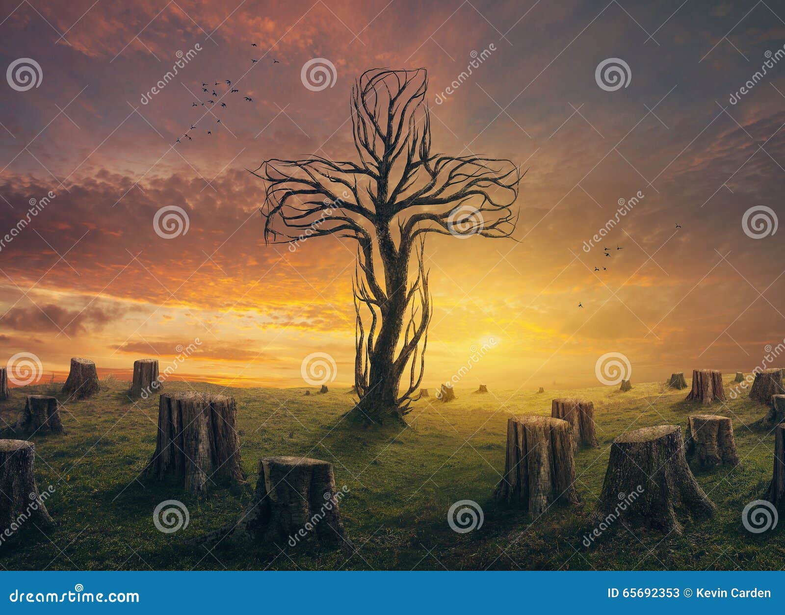 Cross and stumps stock image. Image of woods, branch - 65692353