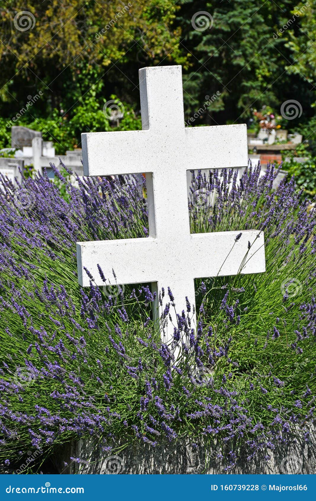 Cross Tombstone in the Cemetery Stock Photo - Image of public, crypt ...