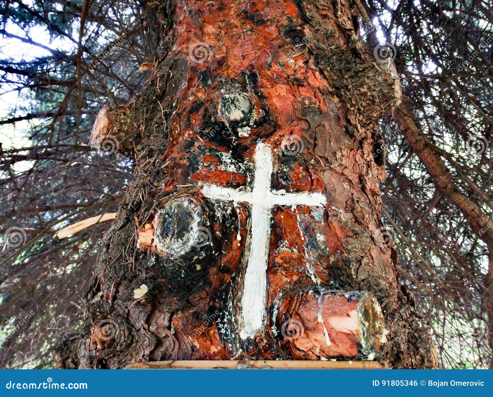 Cross on a tree stock photo. Image of cross, drawn, nature - 91805346