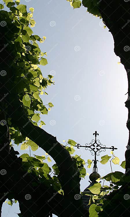 Cross between the trees stock image. Image of holy, cross - 1272177