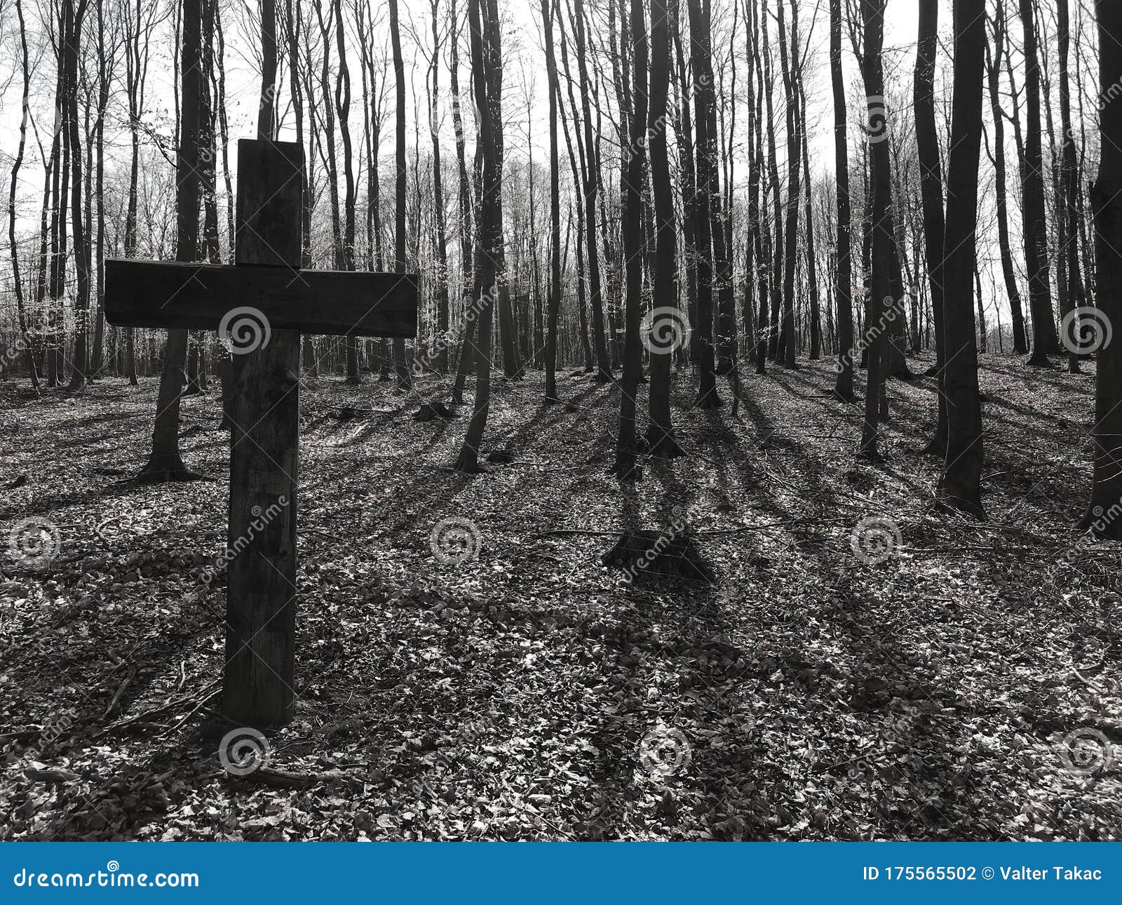 Cross stock photo. Image of cross, nature, trees, forest - 175565502