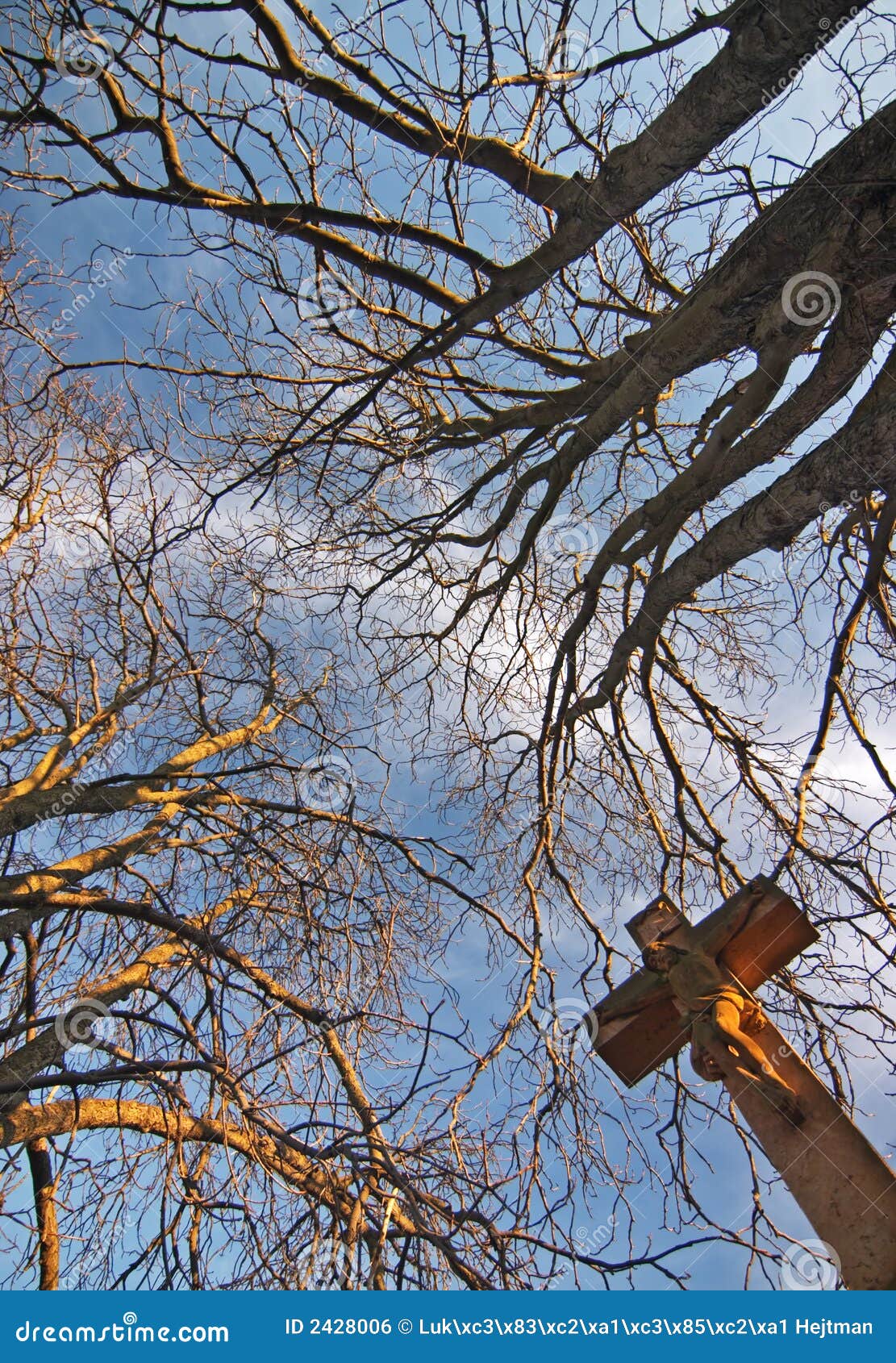 A cross and trees stock photo. Image of memoriam, religion - 2428006