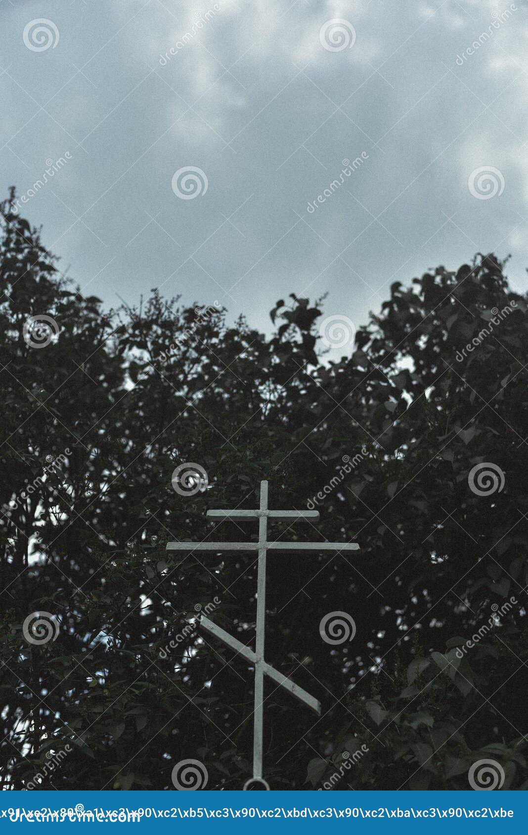Cross stock photo. Image of trees, white, plant, morning - 224329882