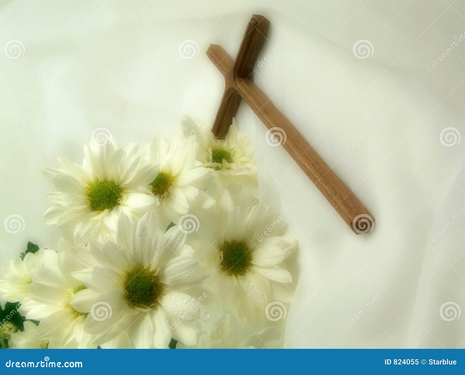 Cross on veil stock image. Image of catholic, sacred, flower - 824055