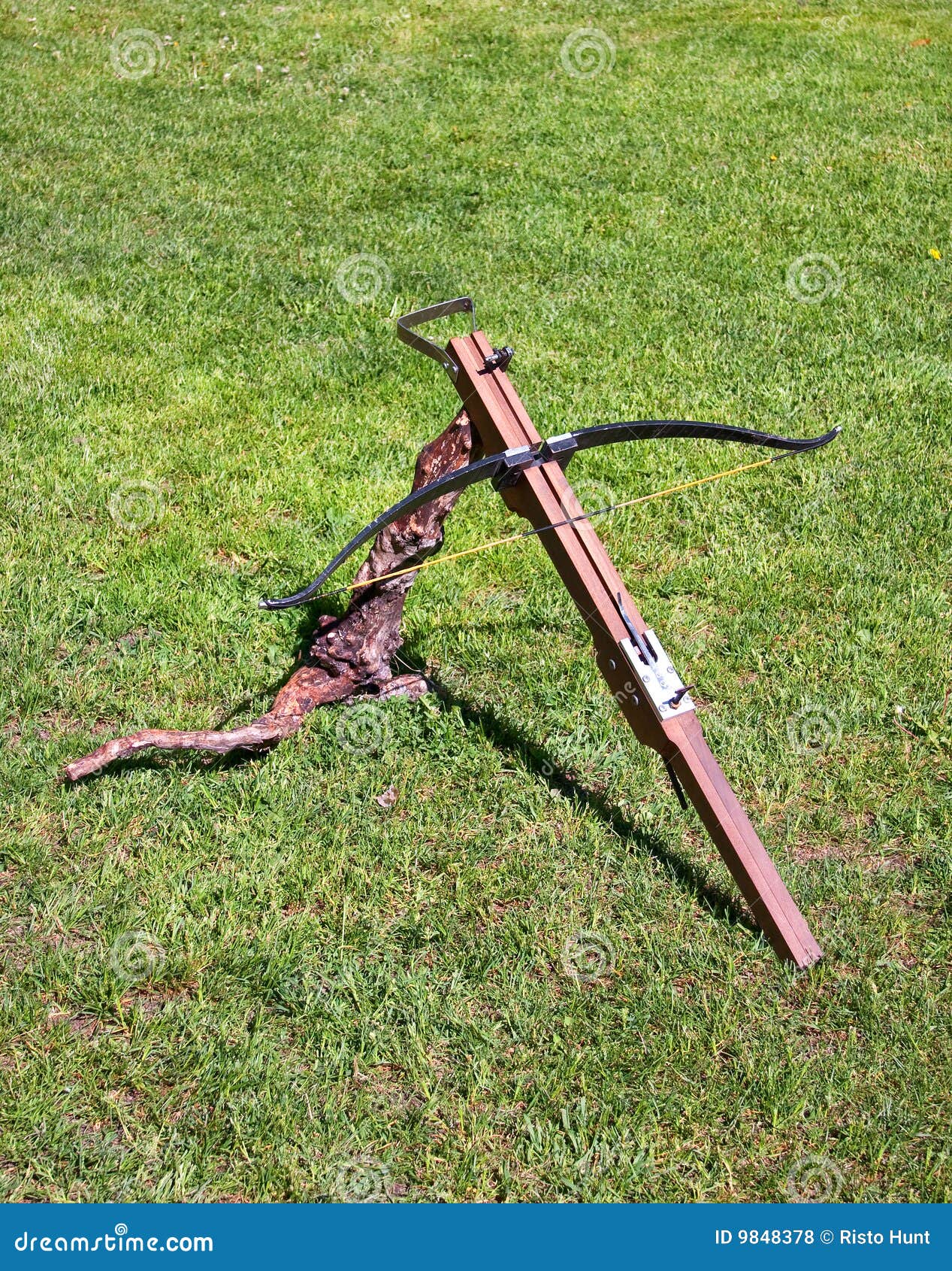 Crossbow stock photo. Image of weapon, timber, metal, spray - 9848378