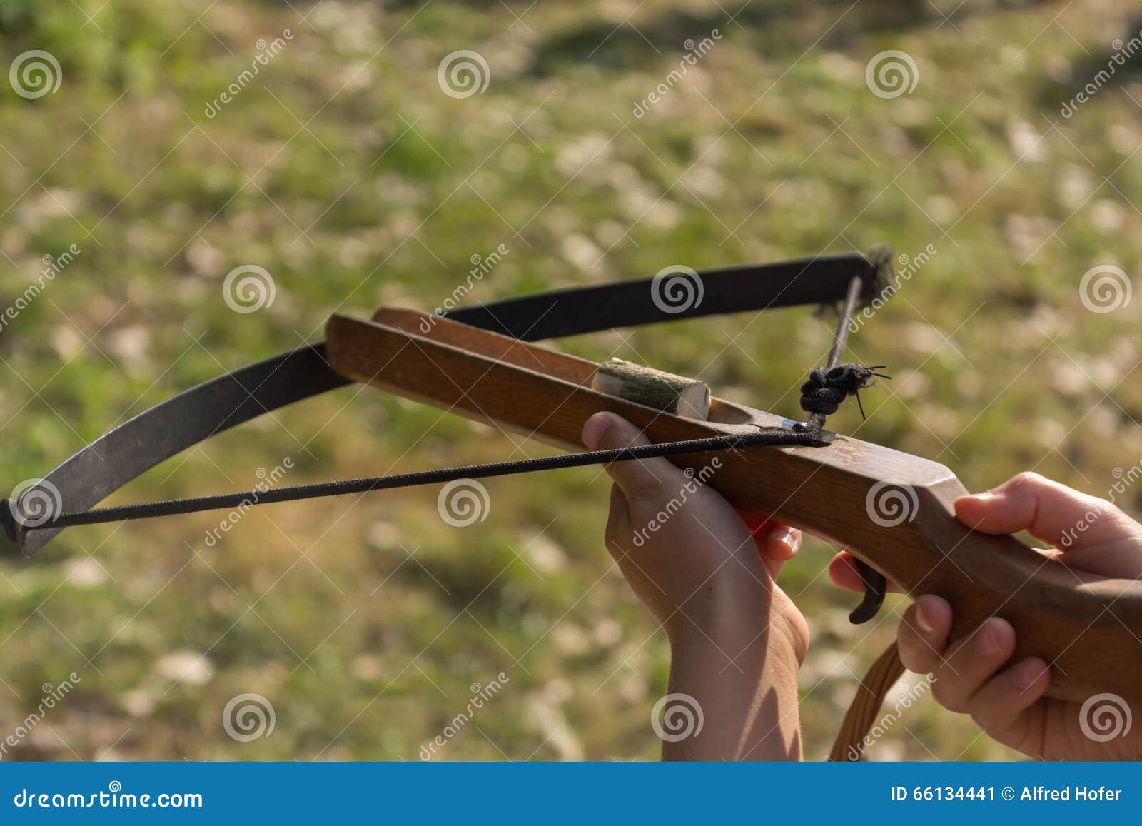 Crossbow in hand stock image. Image of shoot, accuracy - 66134441