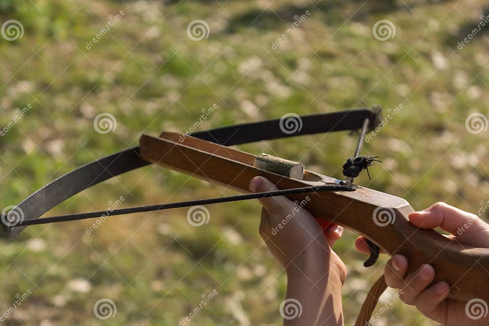 Crossbow in hand stock image. Image of shoot, accuracy - 66134441