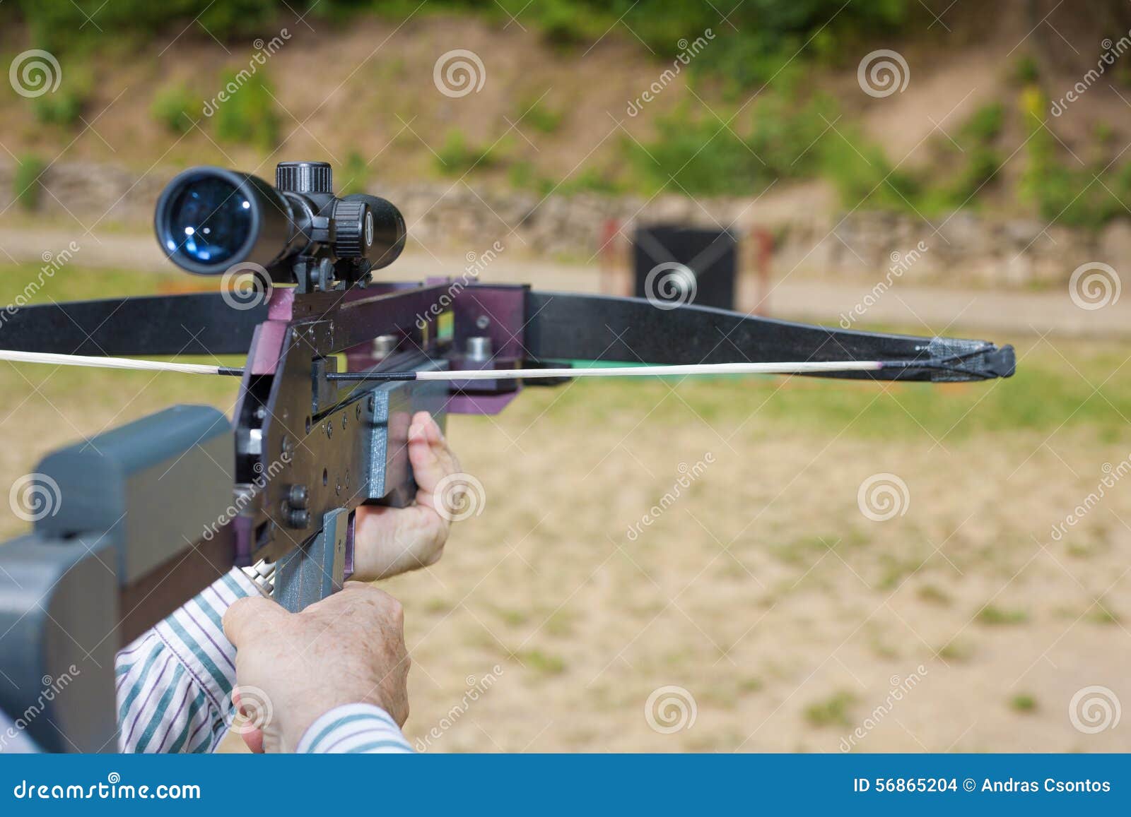 Crossbow stock photo. Image of success, ball, affect - 56865204
