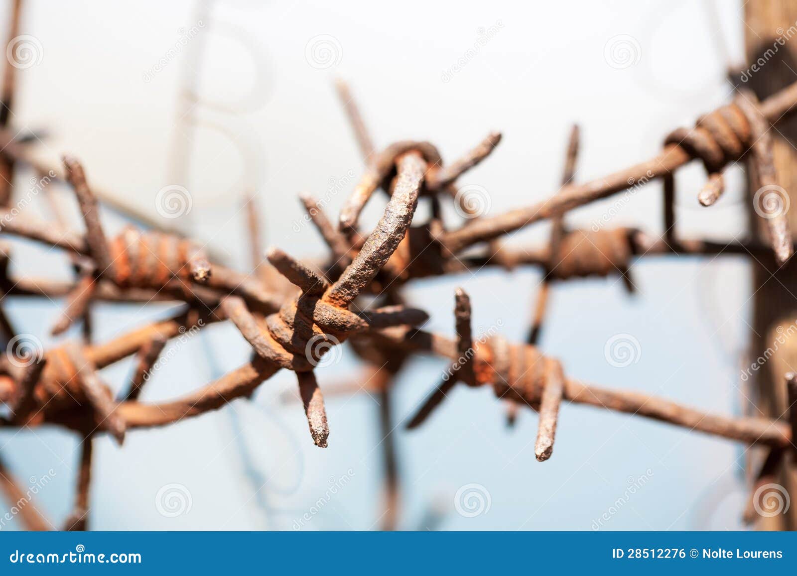 Crossed barb wire stock photo. Image of barb, danger - 28512276