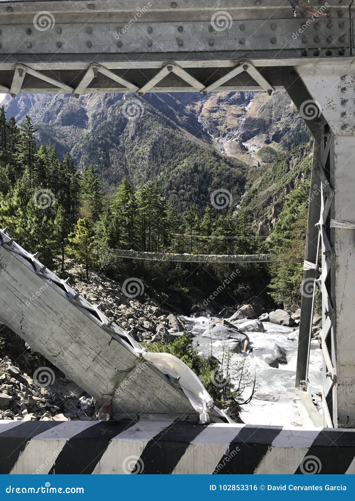 Crossed bridge stock photo. Image of nepal, forest, crossed - 102853316