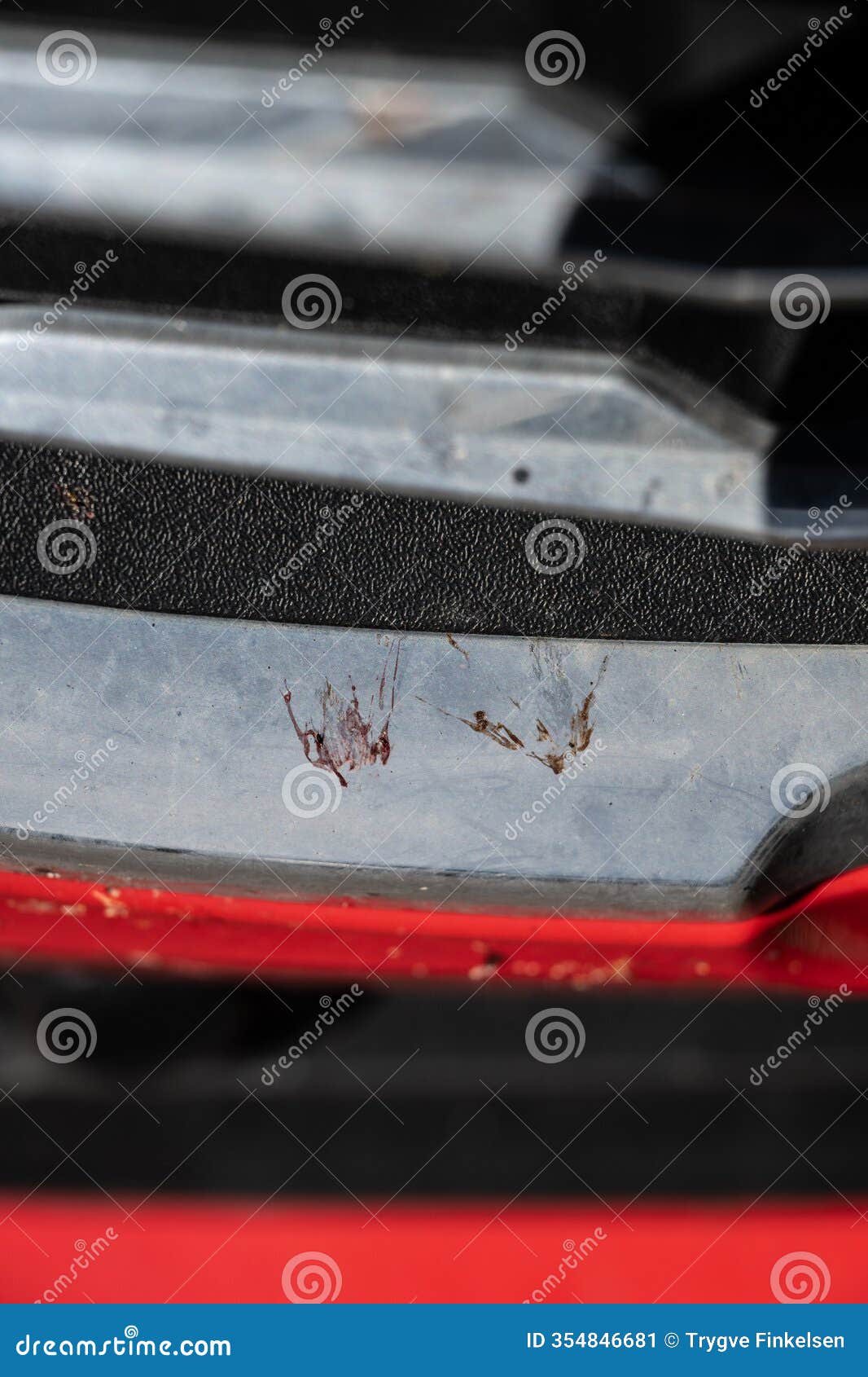 Crossed Bugs on the Front of a Vehicle.. Stock Image - Image of ...