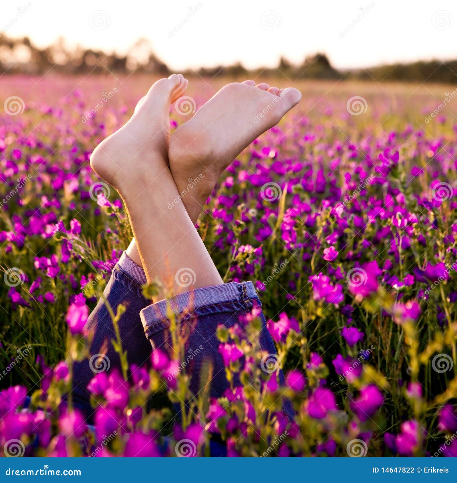 Crossed Legs Wear Riding Paddock Boots And Long Knee Socks. Horse Rider ...