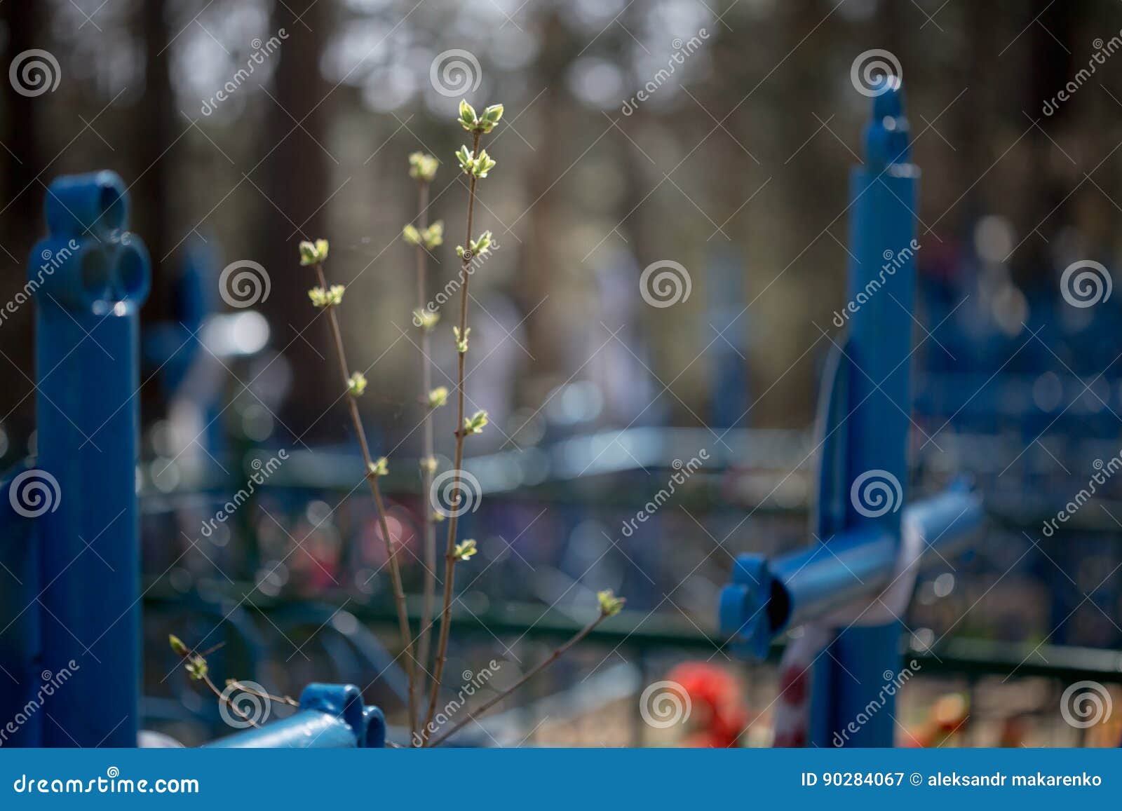 Crosses and Graves in the Cemetery on the Eve of the Holiday Radonitsa ...