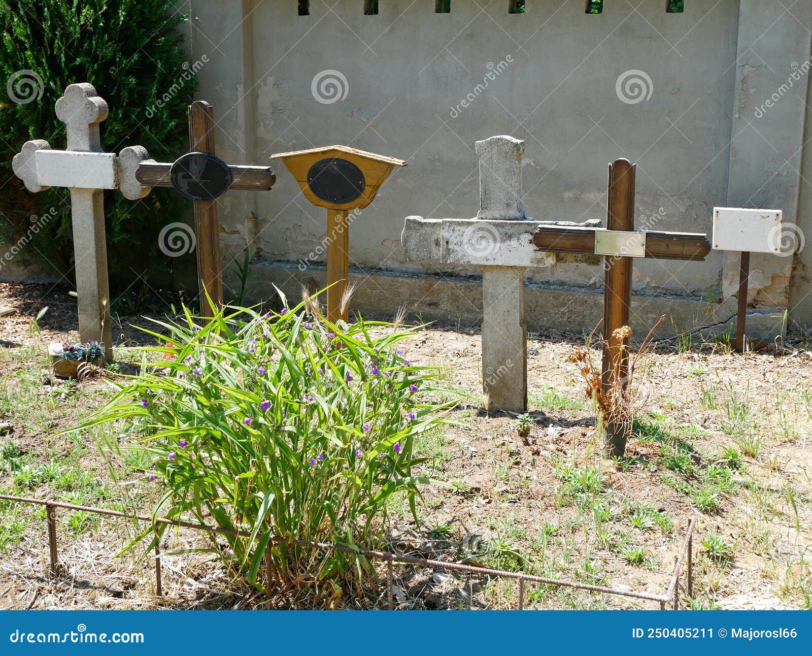 Crosses in the Public Cemetery Stock Image - Image of utdoors, symbol ...