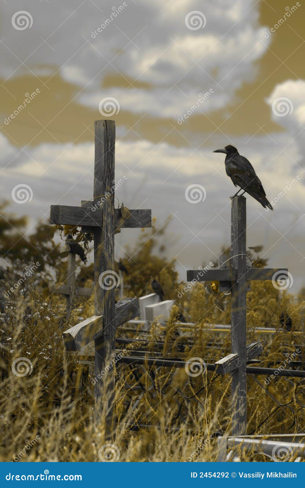 Crosses and Raven stock photo. Image of orthodox, crosses - 2454292