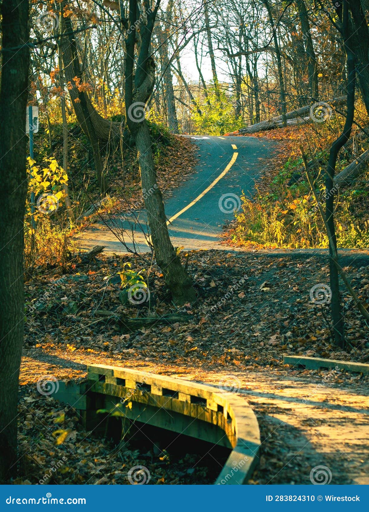 Cycle Path and Pedestrian Crossing in the Park Stock Photo - Image of ...