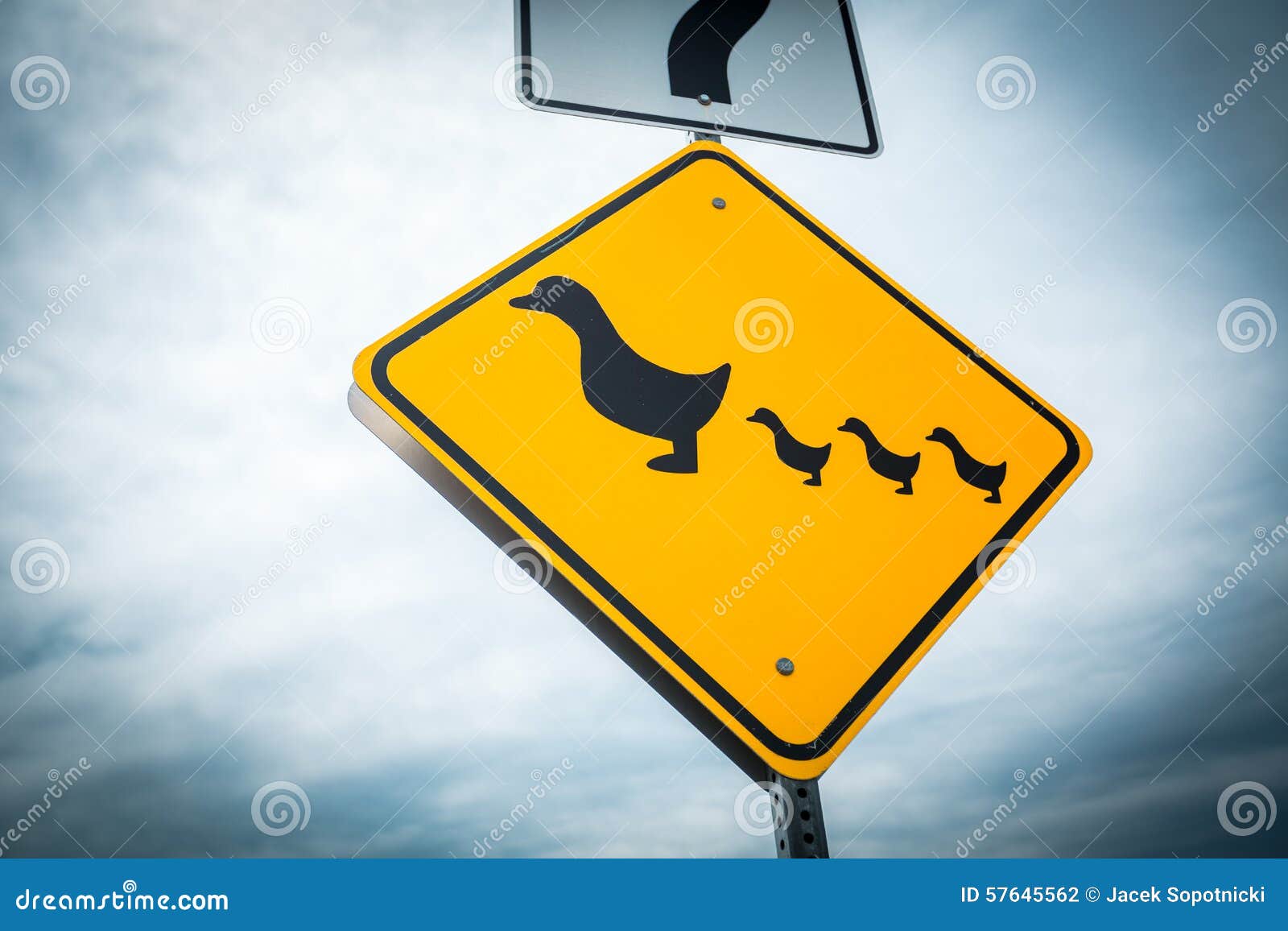 Crossing ducks road sign stock photo. Image of sign, signs - 57645562