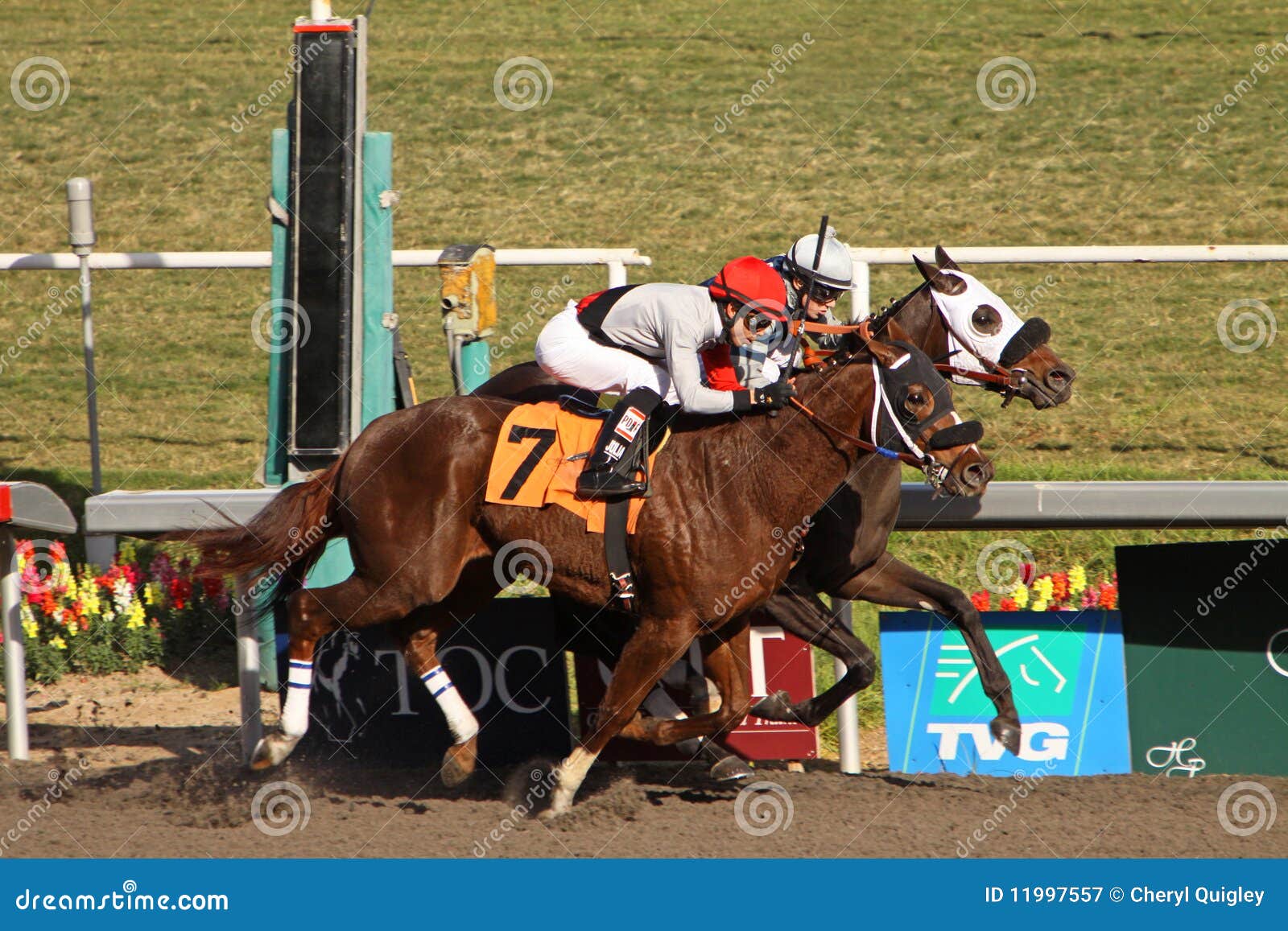 Crossing the Finish Line First Editorial Photography - Image of gamble ...