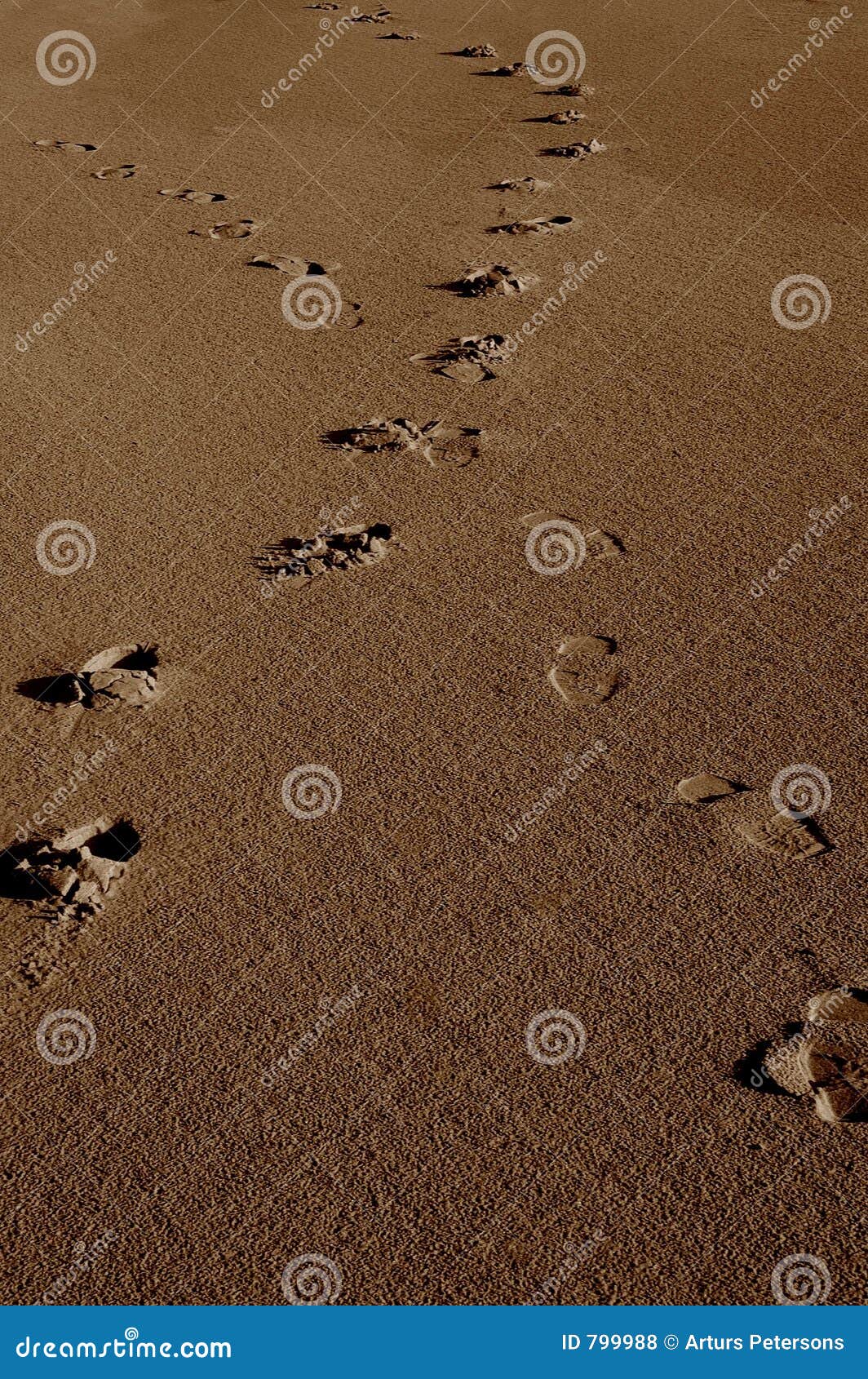 Crossing Footprints in Sand Stock Photo - Image of wandering, path: 799988