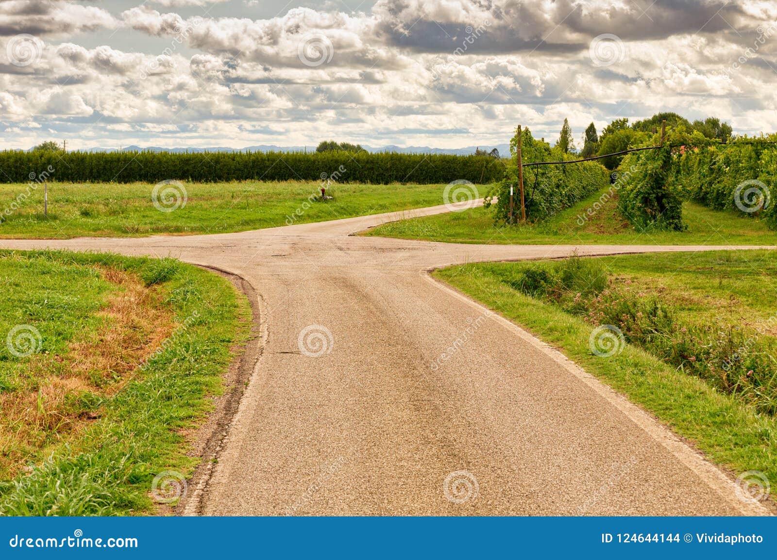 Crossing Four Country Roads Stock Photo - Image of vanishing, point ...