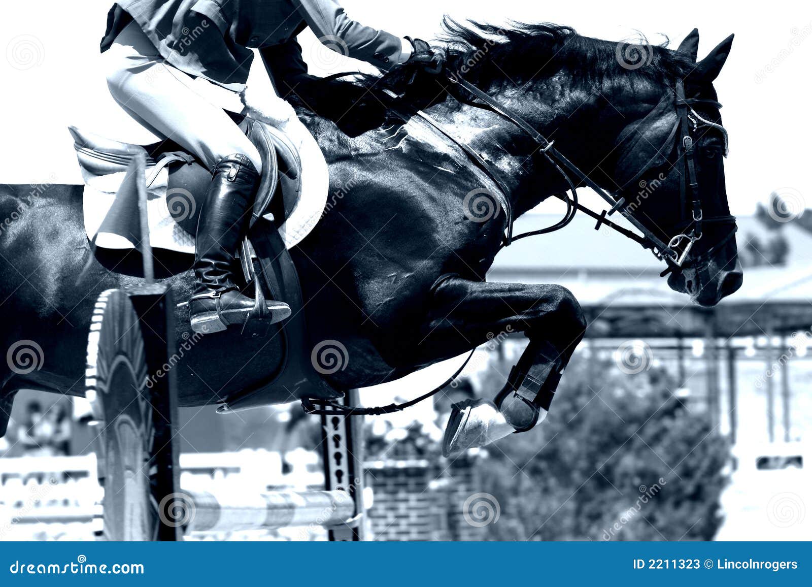 Crossing Hurdles, Equestrian 3 Stock Image - Image of barrier, action ...