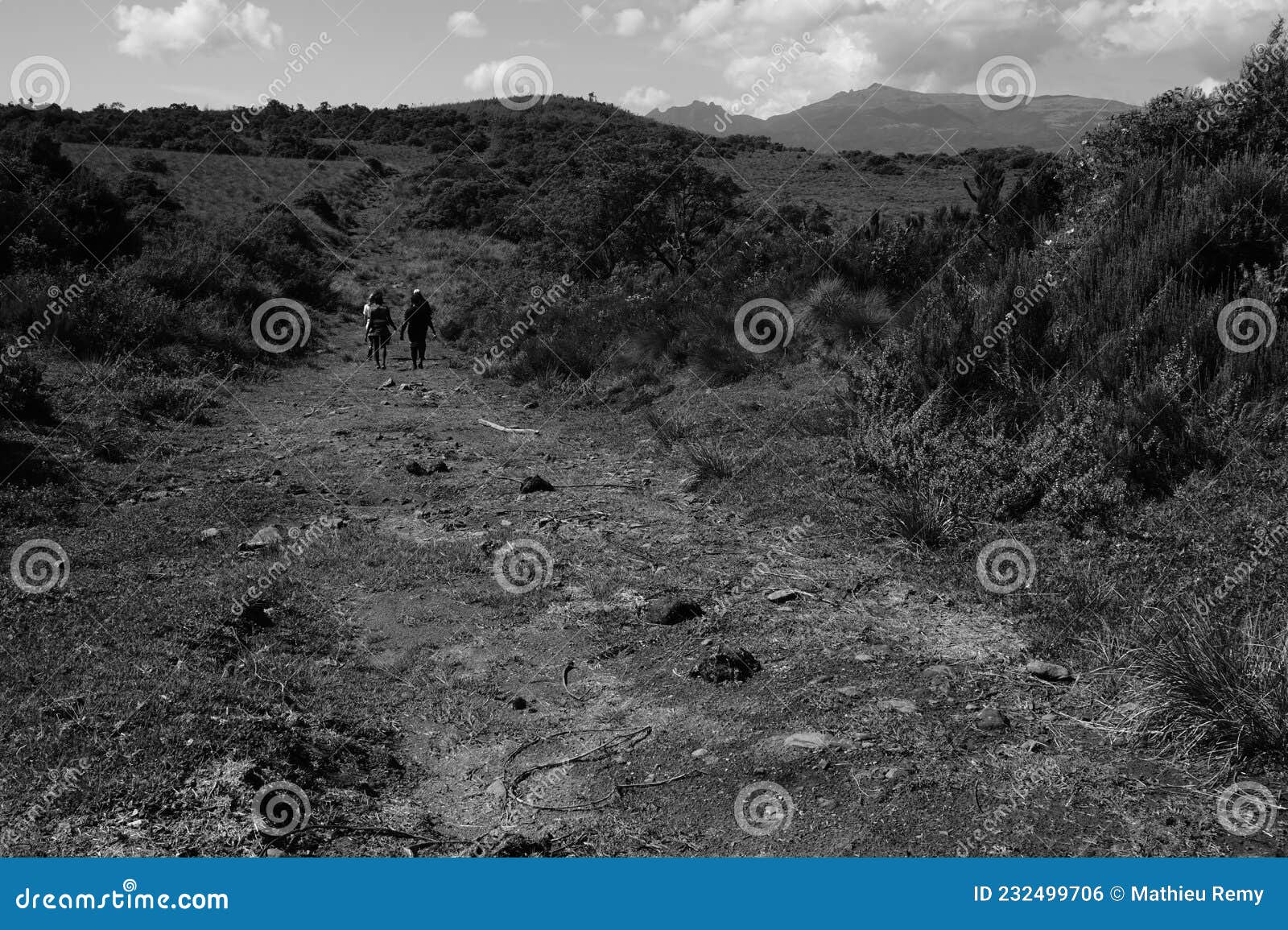 Crossing the Path in Mount KENYA Editorial Photo - Image of geology ...