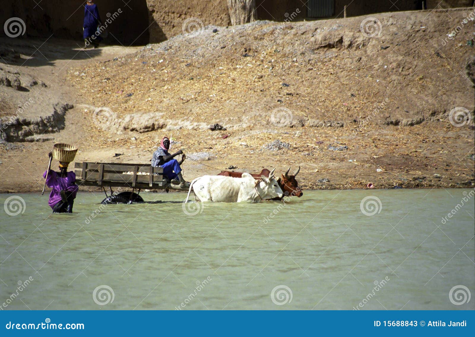 Crossing the River, Bani River, Mali Editorial Stock Photo - Image of ...