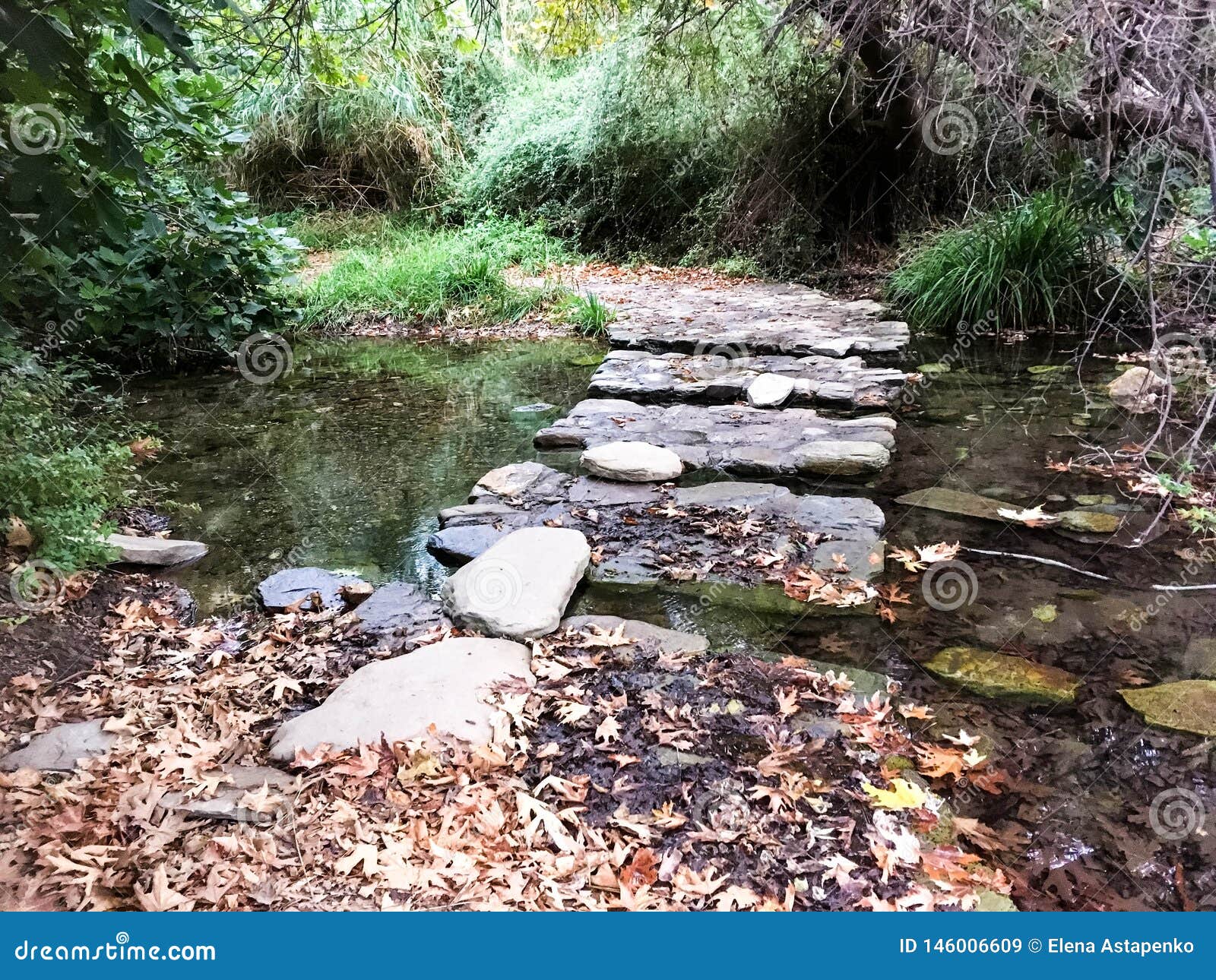 Crossing the stream stock image. Image of pathway, branch - 146006609