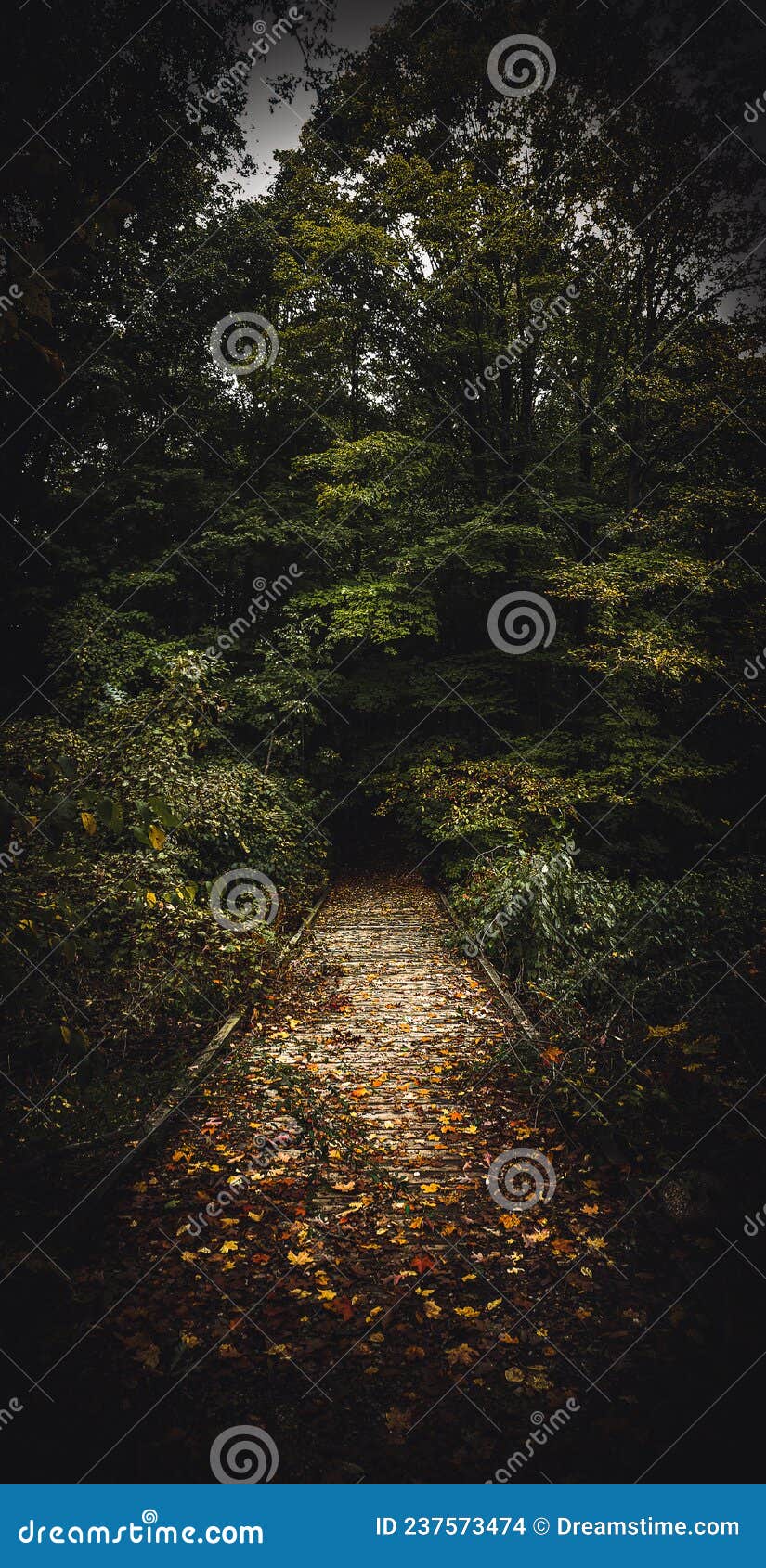 Crossing of a Threshold stock photo. Image of sunlight - 237573474