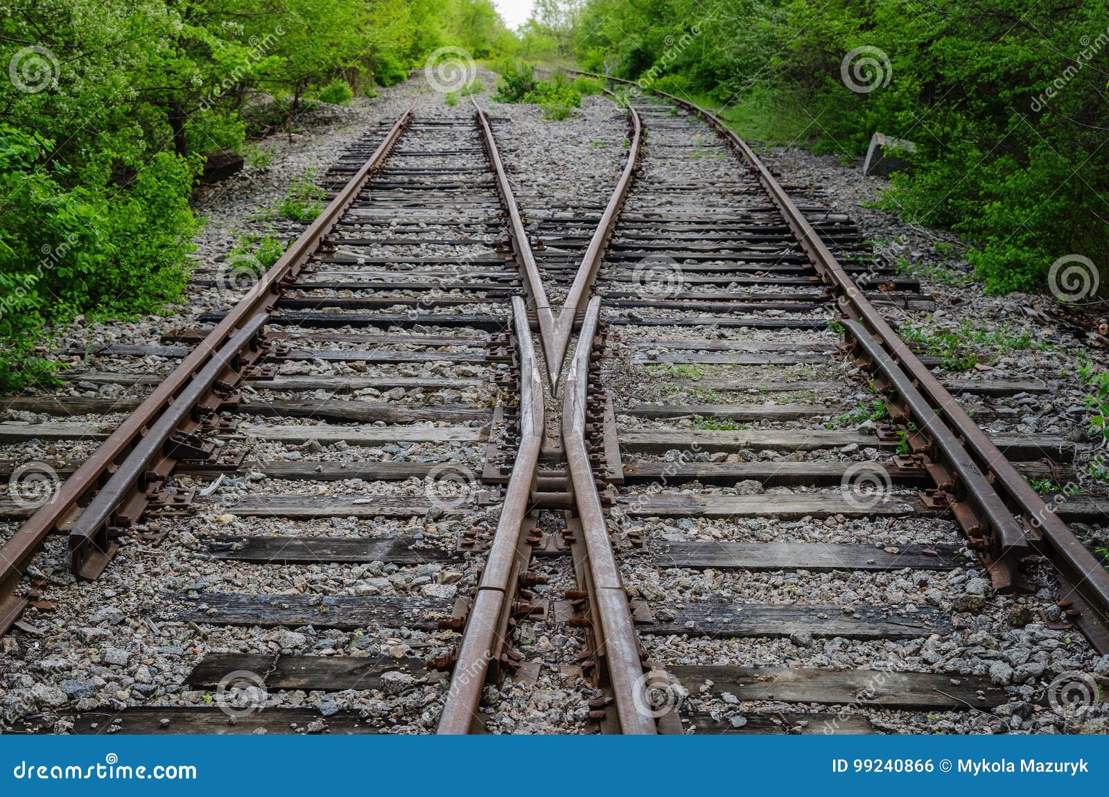 Crossing of Two Old Railroad in Wood Stock Photo - Image of nature ...