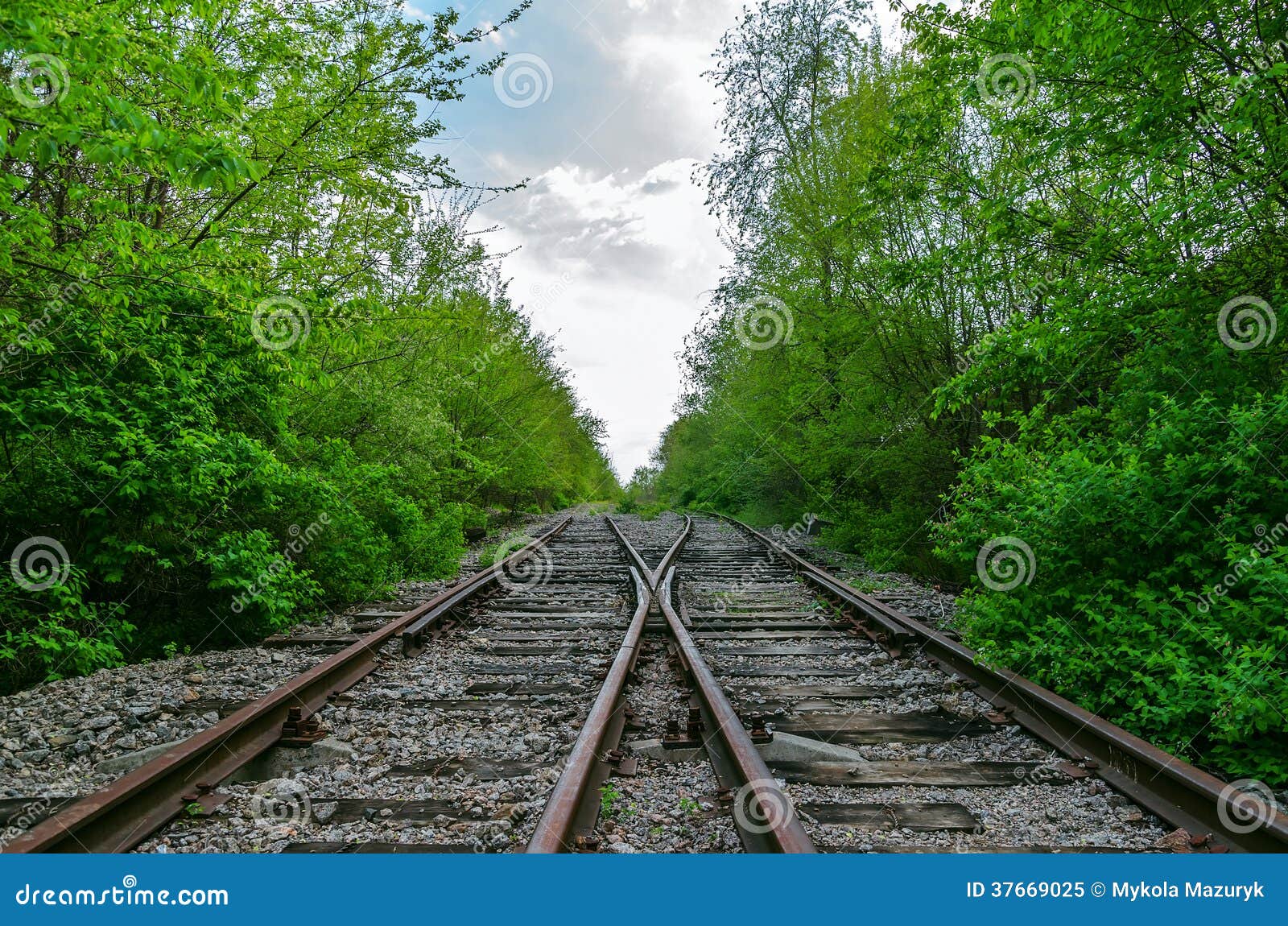 Crossing of two railroads stock image. Image of rail - 37669025