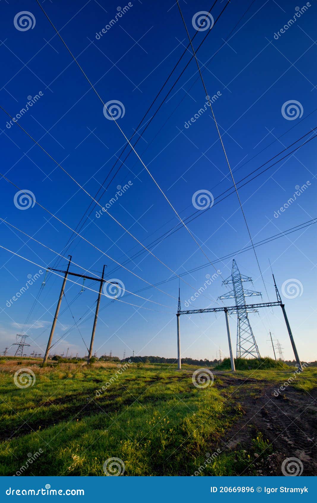 Crossing wires stock photo. Image of grass, metal, tall - 20669896