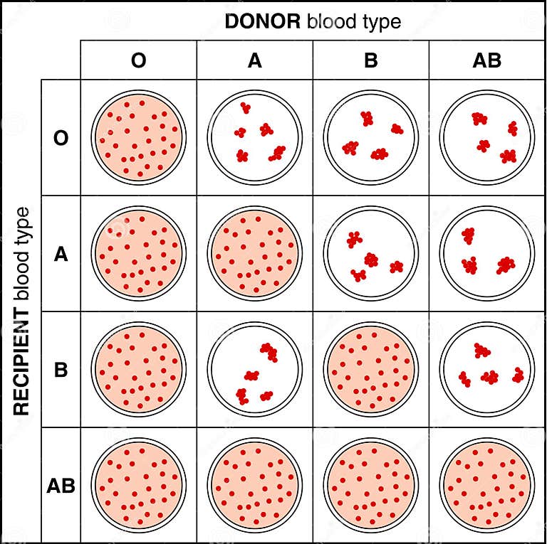 Crossmatch stock vector. Illustration of blood, technology - 12762586