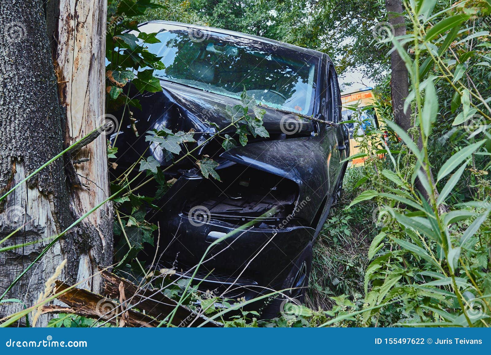 Crossover Collision with a Tree on a Road at the Scene of a Car ...