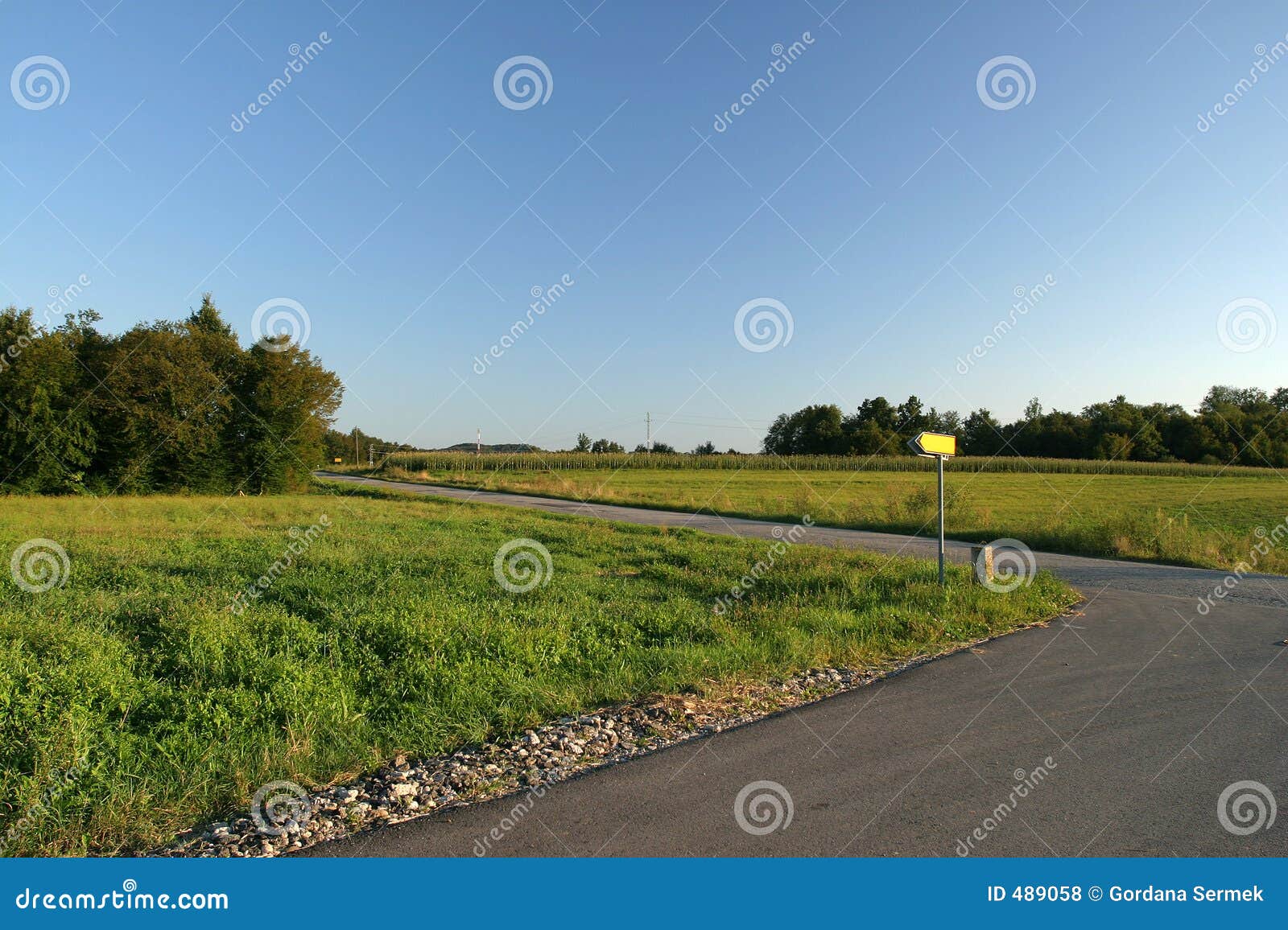 Crossroad stock photo. Image of meadow, yellow, road, grass - 489058